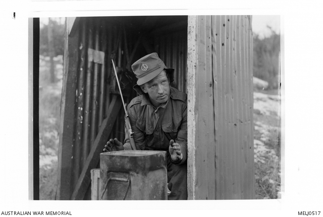 Patrolling the Demilitarised Zone (DMZ) between the opposing forces in ...