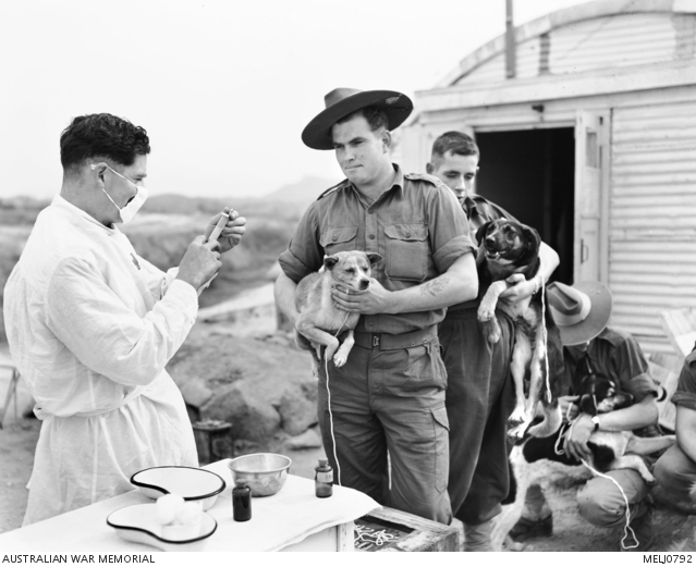In the Australian Army even the dogs get inoculated. Every few months ...