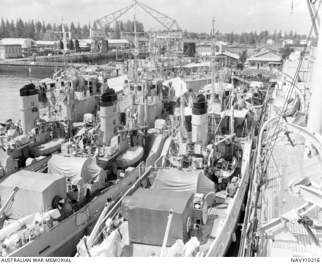 Two Australian Ton class minesweepers, HMAS Snipe and HMAS Curlew, are ...
