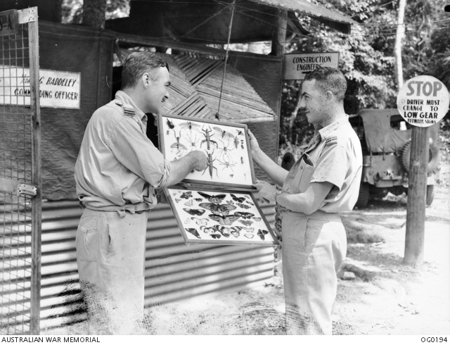 VIVIGANI, GOODENOUGH ISLAND, PAPUA NEW GUINEA. 1943-09-23. FLYING ...