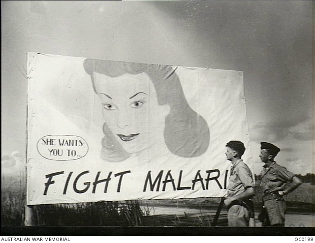 MEMBERS OF A DIVE BOMBER SQUADRON, NO. 24 SQUADRON RAAF, READING A ...