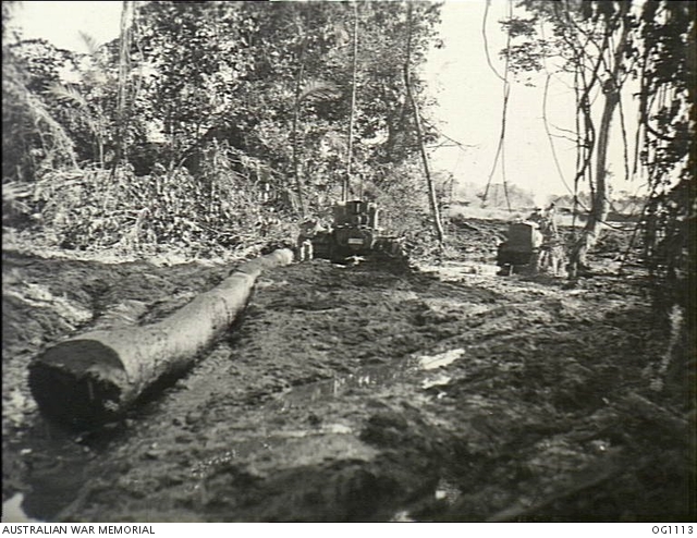 AITAPE, NORTH EAST NEW GUINEA. C. 1944-06. A LOG BEING HAULED BE A ...