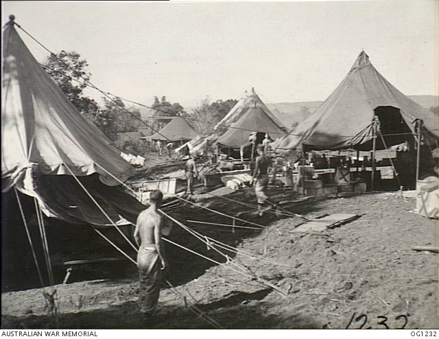 HOLLANDIA, DUTCH NEW GUINEA. 1944-06-18. A VIEW THROUGH PARTLY ...
