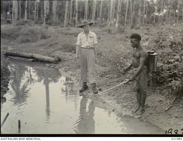 NEW GUINEA. C. 1945-01. BEATING THE BUG, MALARIA CONTROL UNITS IN NEW ...