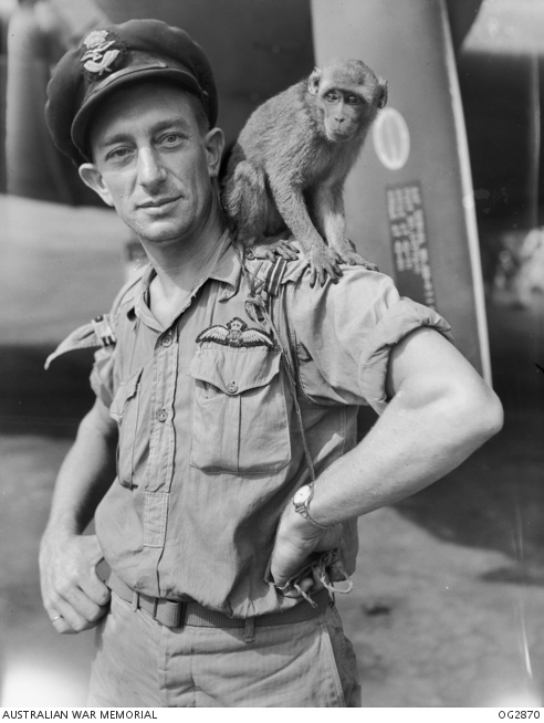 Pets are fashionable among members of the RAAF aircrews. They range ...