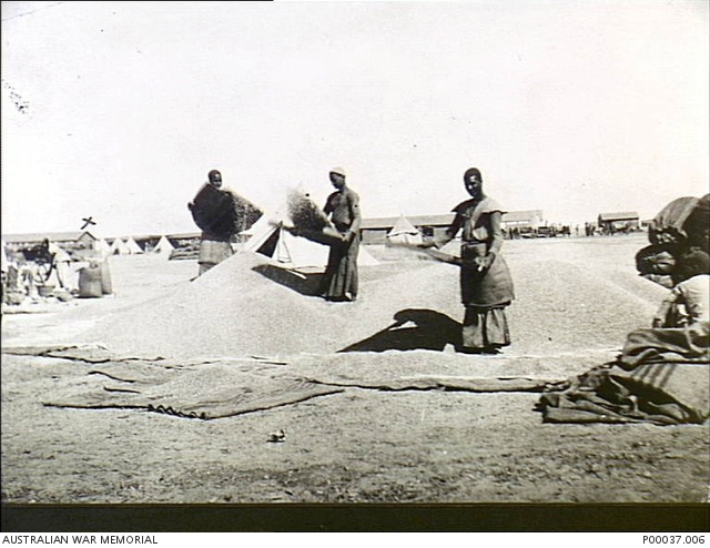 Heliopolis, Egypt. c. 1915. Local people use hand implements to crush ...