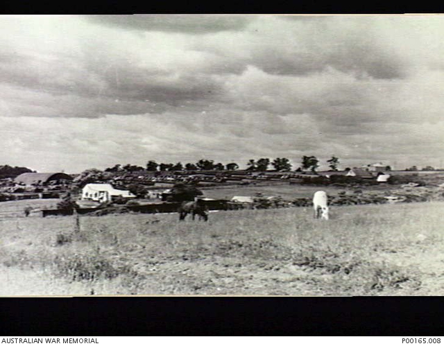 NORTH RYDE, NSW, WWII. VIEW OF THE 3RD AUSTRALIAN ORDNANCE VEHICLE PARK ...