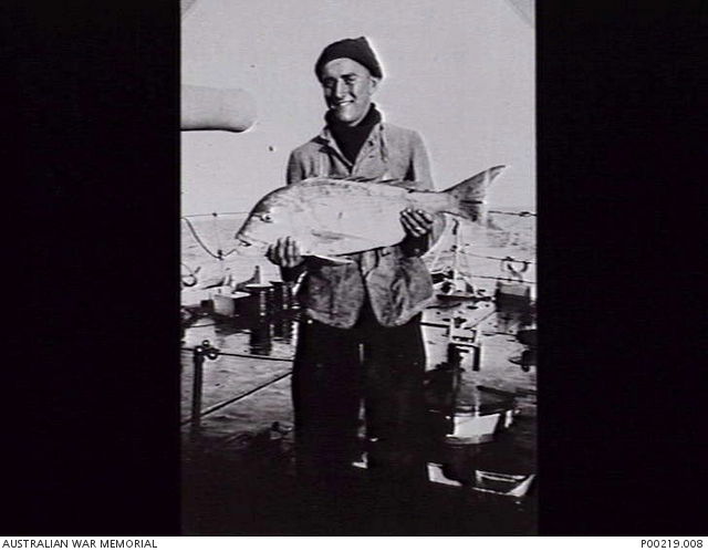 A CREWMAN OF THE HMS LADYBIRD HOLDING A FISH CAUGHT OFF THE STERN ...