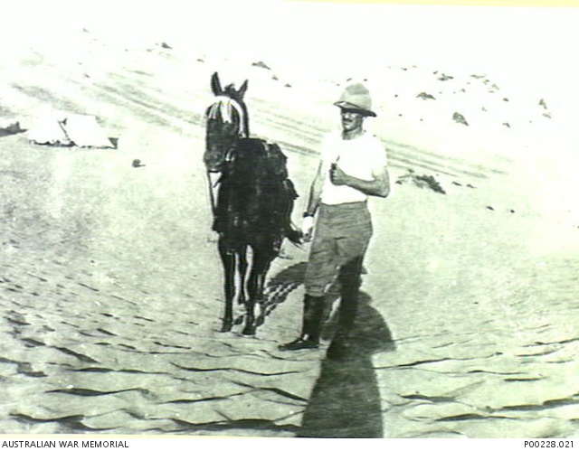 Informal portrait of Major L A Lewis, 3rd Light Horse Regiment with his horse. | Australian War ...