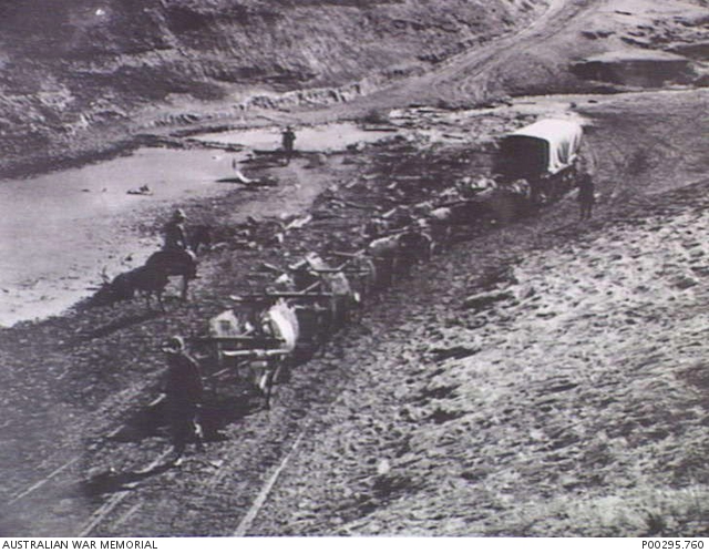 RHENOSTER RIVER, SOUTH AFRICA, C 1900. OX TEAMS CROSSING. LOCATION ...