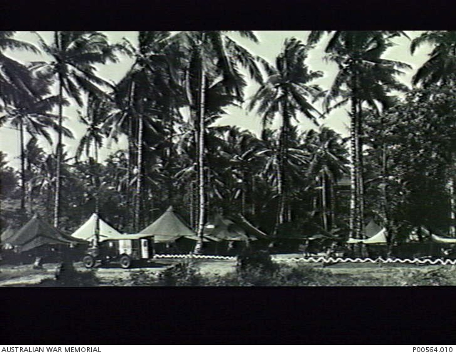 MEDICAL UNIT, PART OF THE AMERICAN CAMP, SET AMONG PALM TREES ...
