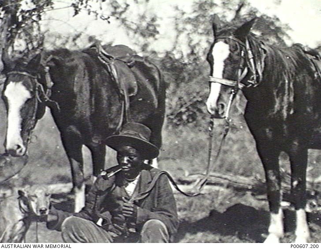 MAFEKING, SOUTH AFRICA, C. 1900. A LOYAL NATIVE MAN WITH HORSES AND DOG ...