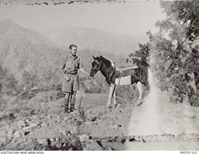 PORTUGUESE TIMOR. 1942. A MEMBER OF THE 2/2ND INDEPENDENT COMPANY ...