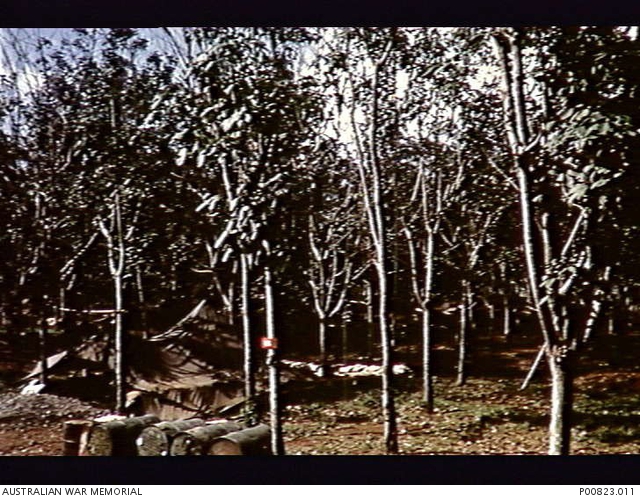 NUI DAT, SOUTH VIETNAM, 1967. CAMP OF 104 SIGNALS SQUADRON AT THE BASE ...