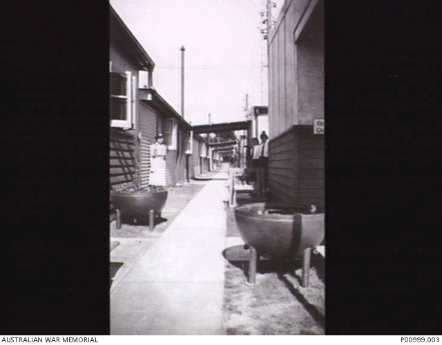 HMAS CERBERUS, FLINDERS NAVAL DEPOT, VICTORIA. 1943. WOMEN'S ROYAL ...