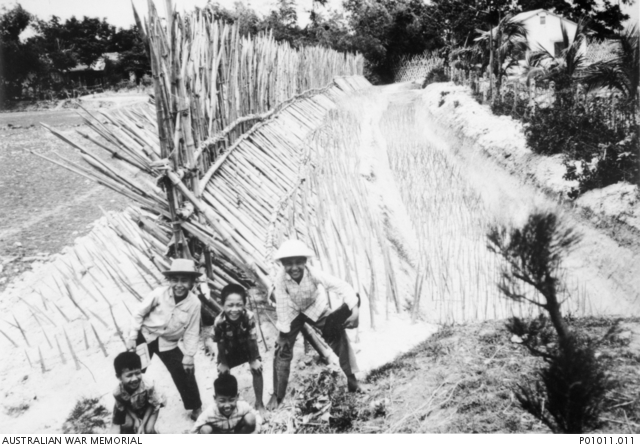 Vietnam. c. 1962. A typical native village defence system of bamboo ...