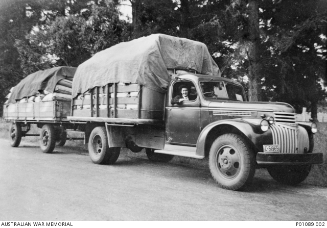 Informal portrait of WR/952 Wran Motor Transport Driver Joyce Bull ...