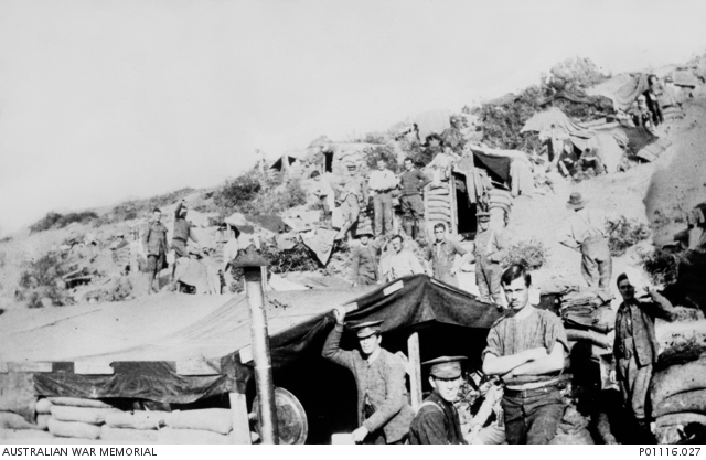 GALLIPOLI, 1915. "OUR COOKS AT WALDEN GROVE". MEMBERS OF THE 4TH ...