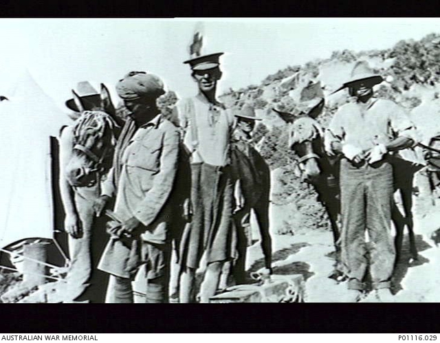 GALLIPOLI, 1915. "WALDEN GROVE". MEN OF THE 4TH AUSTRALIAN FIELD ...