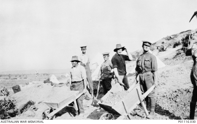 GALLIPOLI, 1915. "DIGGING WINTER QUARTERS WALDEN GROVE". MEN OF THE 4TH ...