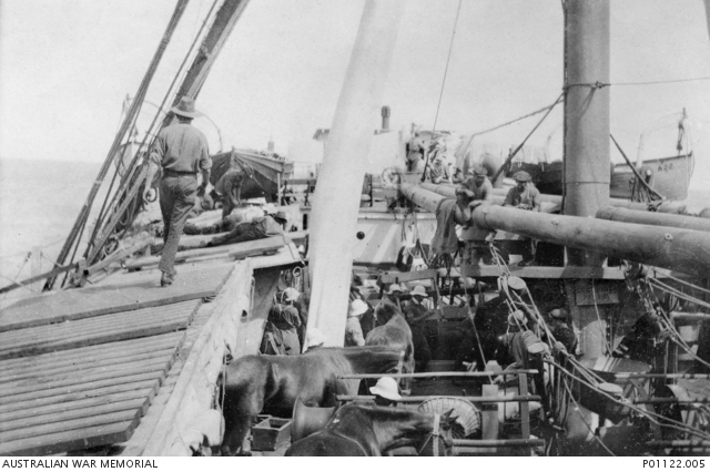 AT SEA, C. 1914-11. THE SCENE ON DECK ON THE TROOPSHIP RANGATIRA (A22 ...