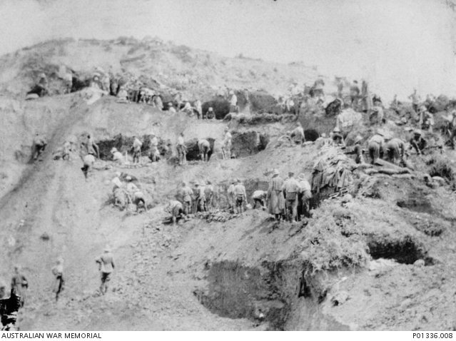 GALLIPOLI, 1915-08. AUSTRALIAN SOLDIERS CROWDED ON A HILLSIDE, DIGGING ...