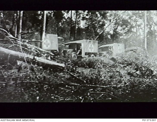DARKES FOREST, NSW. A CONVOY OF 2 TON AUSTIN K2Y AMBULANCES OF THE 2ND ...