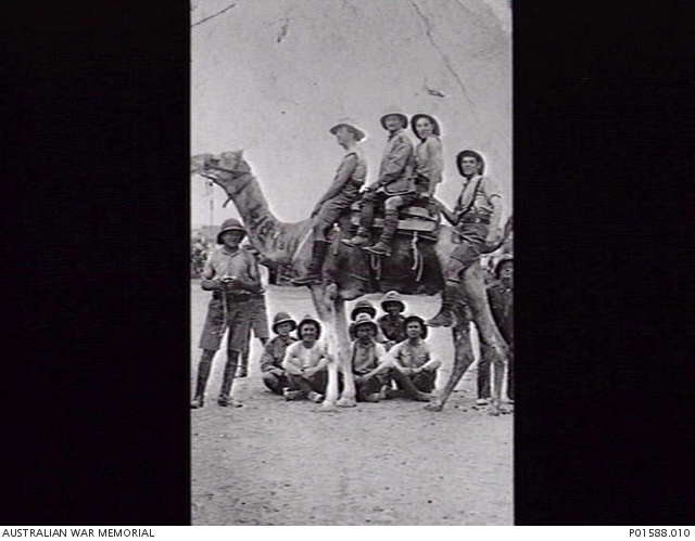 PALESTINE? C.1918. MEMBERS OF THE IMPERIAL CAMEL CORPS WITH ONE OF ...
