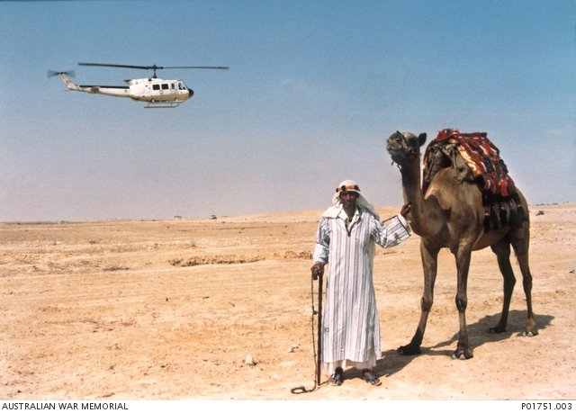 A RAAF Iroquois helicopter flies above a local Arab with his camel. The ...