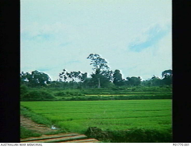 Typical Vietnamese country side, with rice paddies in the foreground ...
