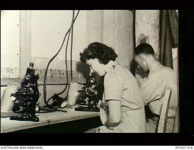Innisfail, QLD, 1944. Peggy Nelson, Australian Army Medical Women's ...
