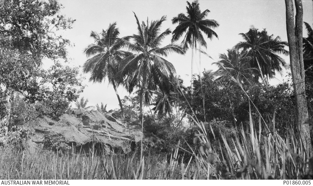 Merauke, Dutch New Guinea, 1943. The RAAF Mess covered with camouflage ...