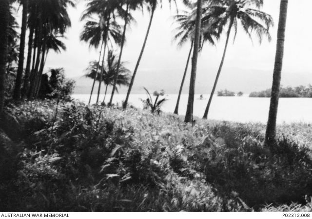 Palmalmal Plantation, Gazelle Peninsula, New Britain, April 1942 ...