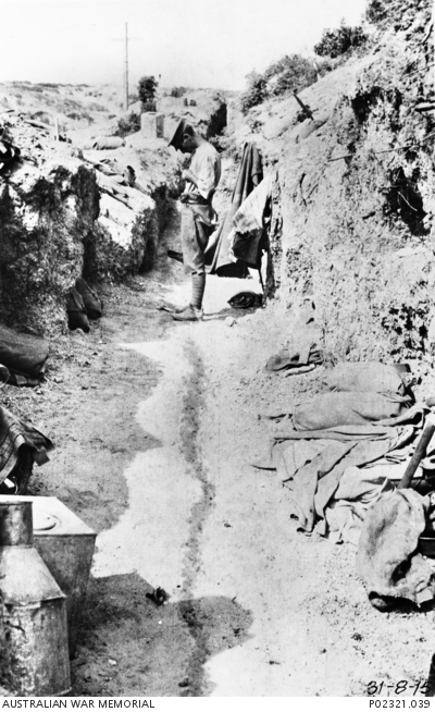 Anzac Cove, Gallipoli, Turkey, 1915-08-31. Engrossed in a task, a ...