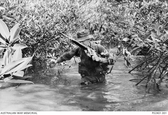 47030 Captain Stephen Newman (Steve) Gower, 1 Field Regiment, wading ...