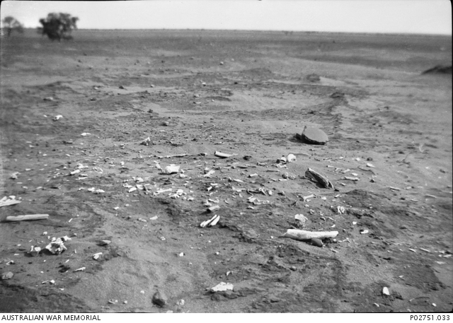 The flat, desolate terrain of the Coopers Creek region. Note what ...