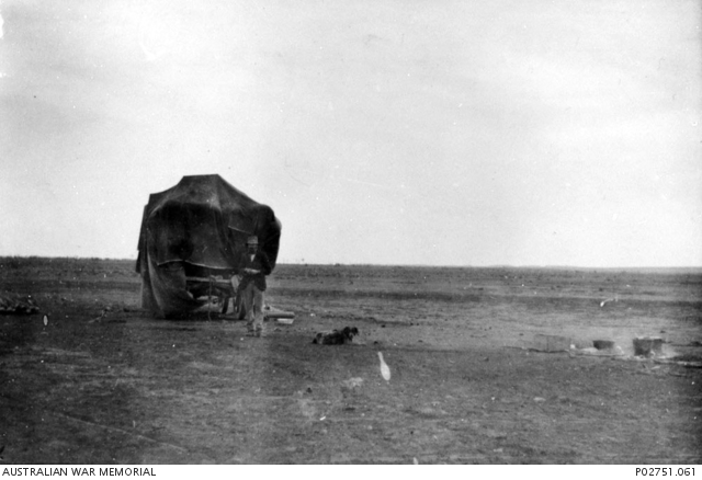 NSW. c. 1908. A travelling swagman with his dog. The large cart ...