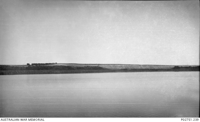 The Murray River and river bank, probably near the mouth of the Murray ...