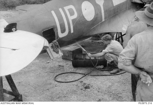 Collection relating to the service of William H Robinson | Australian ...