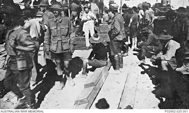 Presentation album to Colonel Alfred Sutton | Australian War Memorial