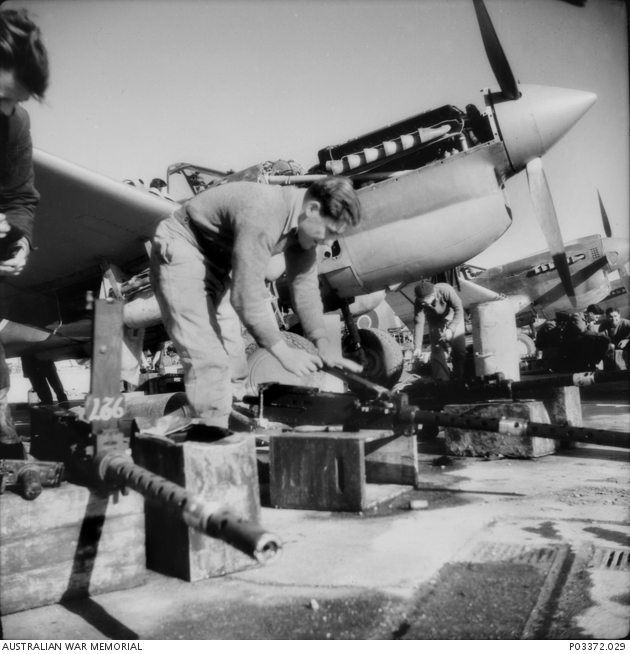An unidentified armourer of 450 Squadron RAAF adjusting the guns of a ...