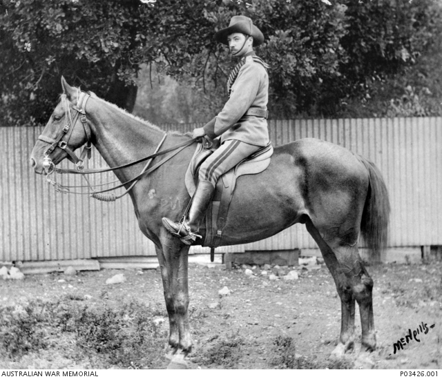 Portrait of an unidentified trooper of the South Australian Mounted ...