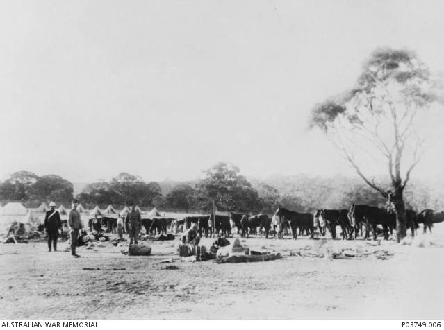A section of the camp site allotted to some of the gunners of the Royal ...