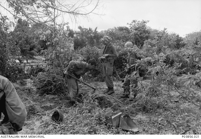 Unidentified Australian troops watch as one of their group uses a hoe ...