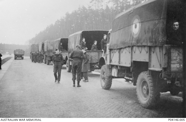 A convoy of RAF Bedford QLD 3 ton, 4x4 GS trucks, carrying unidentified Australian personnel ...