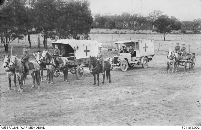 Transport vehicles of the Royal Australian Army Medical Corps (RAAMC ...