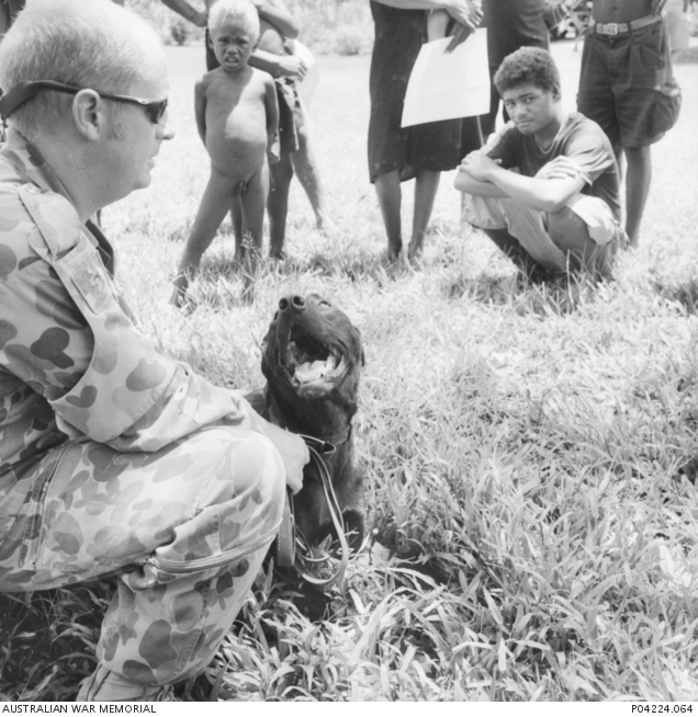 Sapper Graham Ellis, of 3rd Combat Engineer Regiment, and his Explosive ...