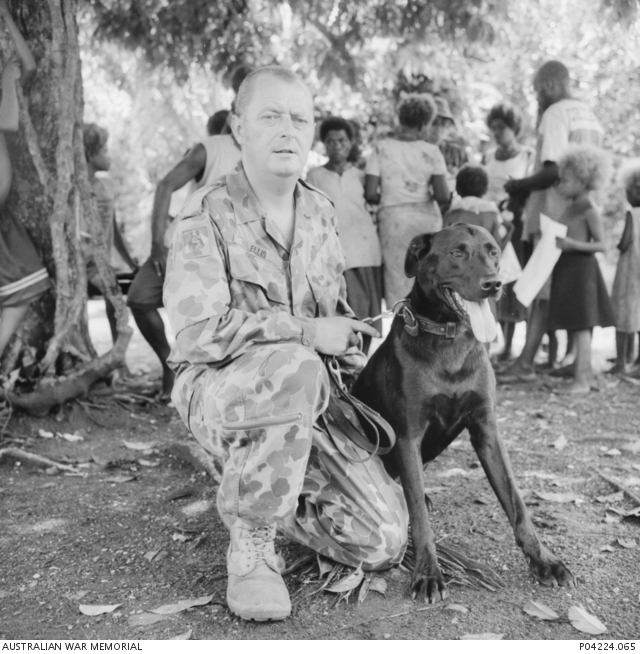 Informal portrait of Sapper Graham Ellis, of 3rd Combat Engineer ...