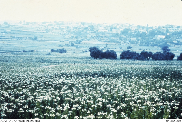 A view of the landscape looking towards Syria as seen from an outpost ...