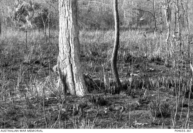Operation Finschhafen, 7th Battalion, The Royal Australian Regiment ...